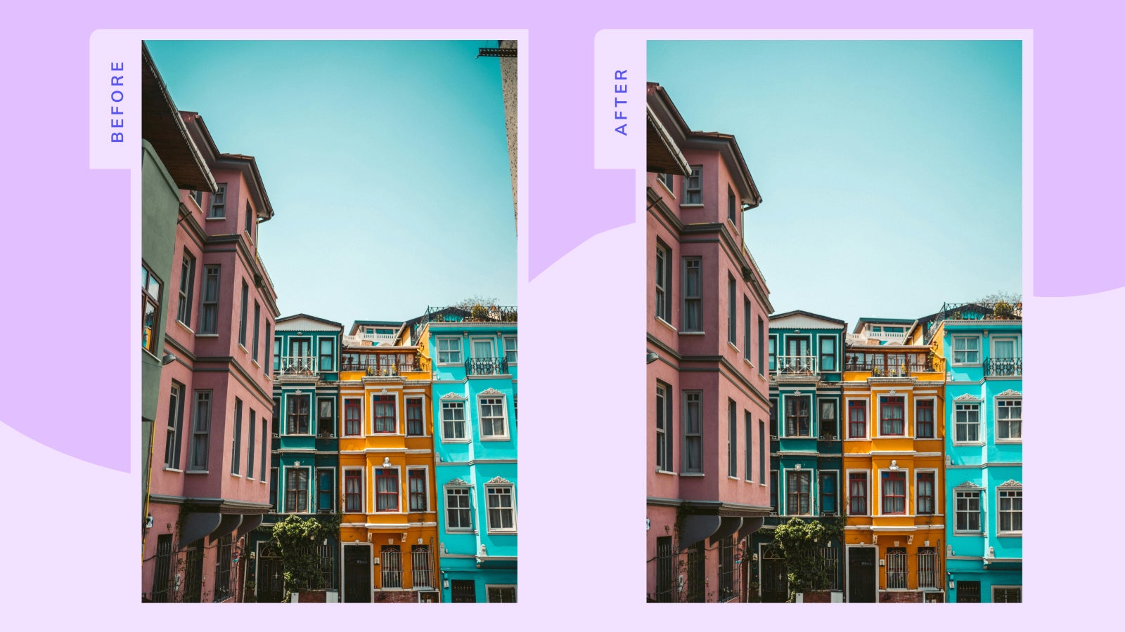 See BeFunky From a New Angle With the Perspective Tool | Learn BeFunky