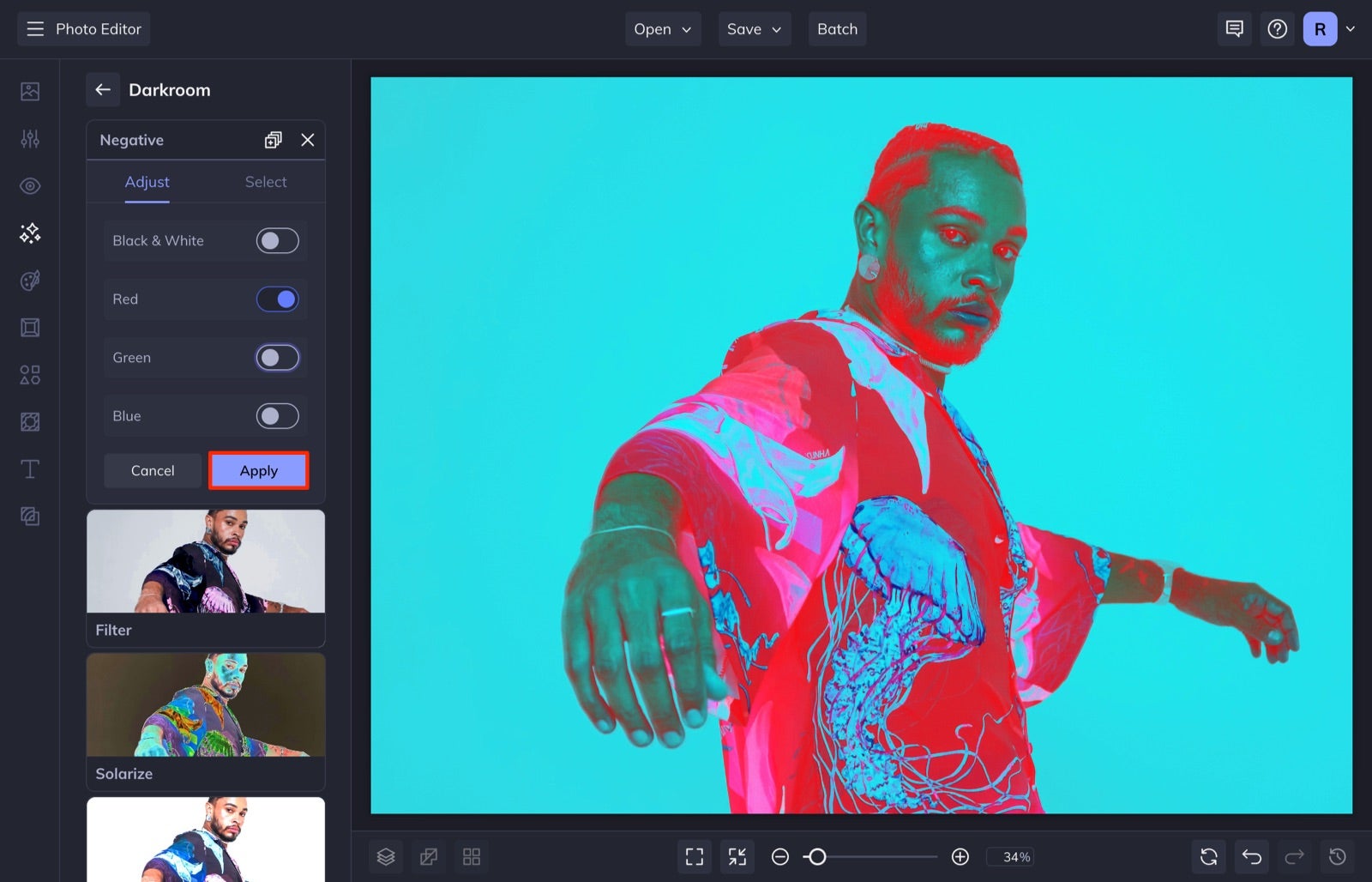 Meet the Darkroom Category: Solarize and Negative Photo Effects | Learn ...