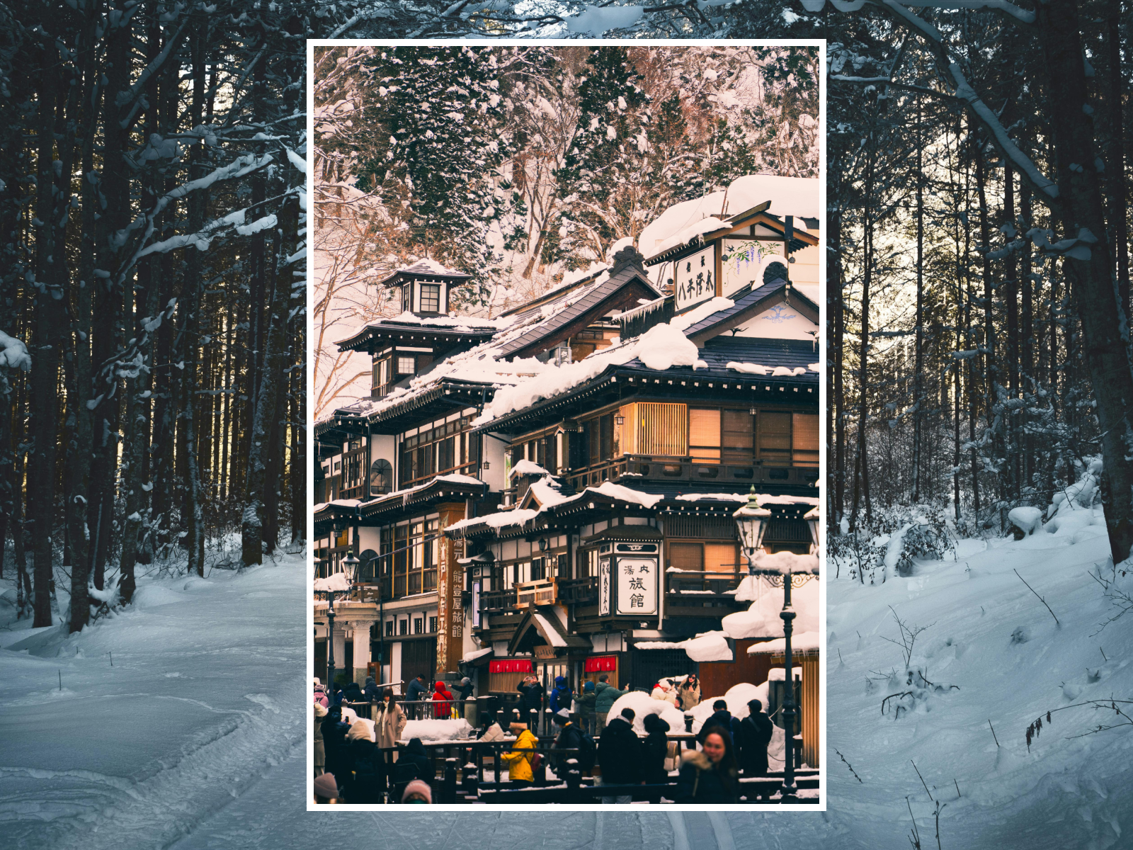 How to Invert Photos Online | Learn BeFunky