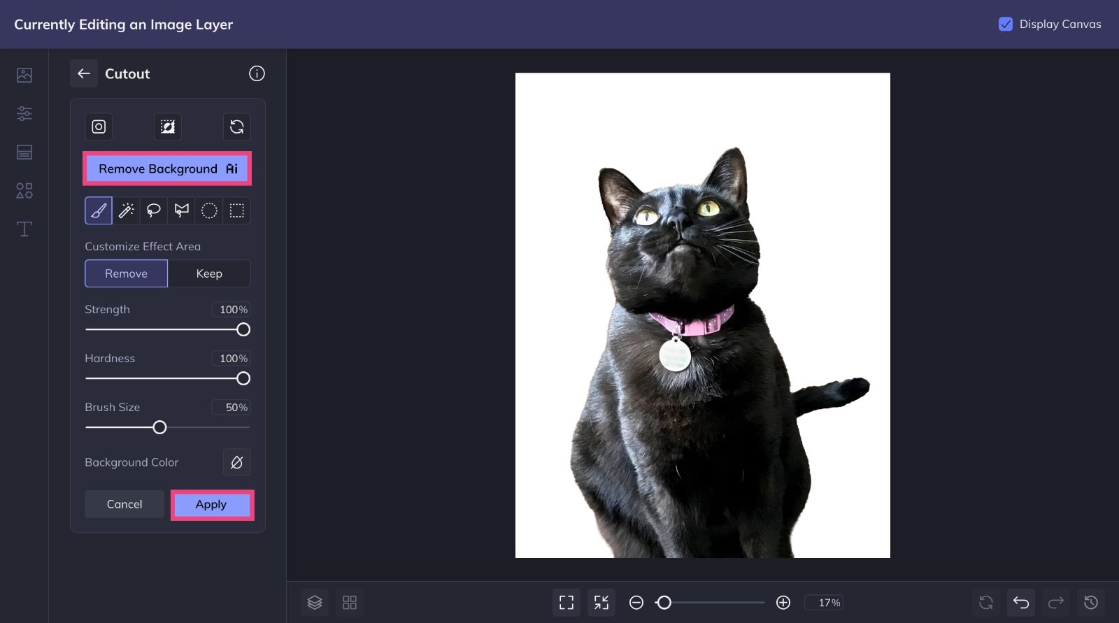 How to Make a Digital Pet Portrait | Learn BeFunky