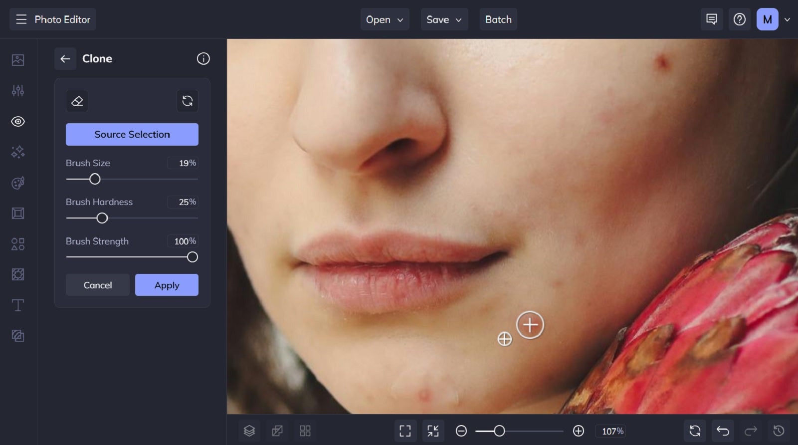 Perfect Your Portraits With the Clone Tool | Learn BeFunky