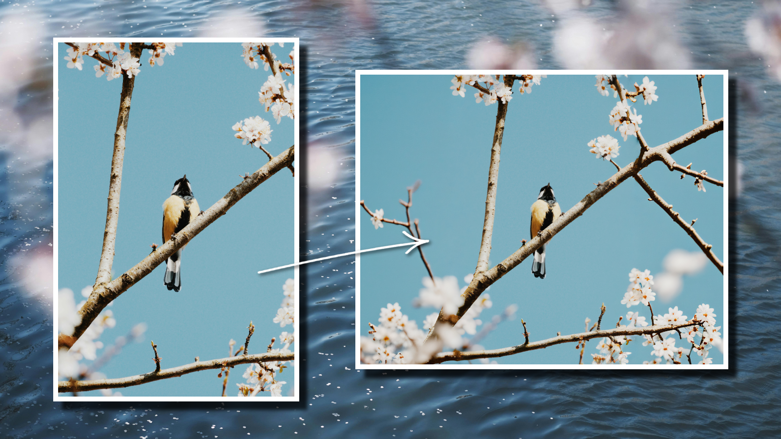 How to Quickly Adjust Image Aspect Ratios Without Cropping | Learn BeFunky