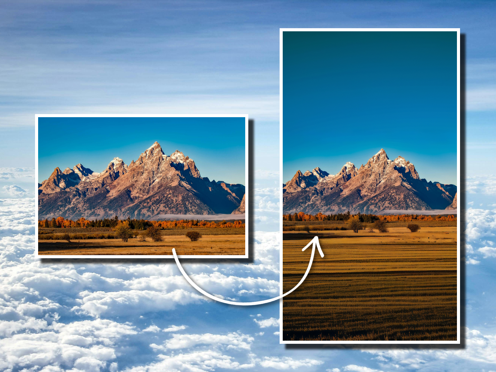 How to Quickly Adjust Image Aspect Ratios Without Cropping | Learn BeFunky