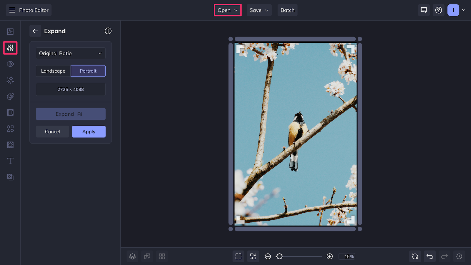 How to Quickly Adjust Image Aspect Ratios Without Cropping | Learn BeFunky