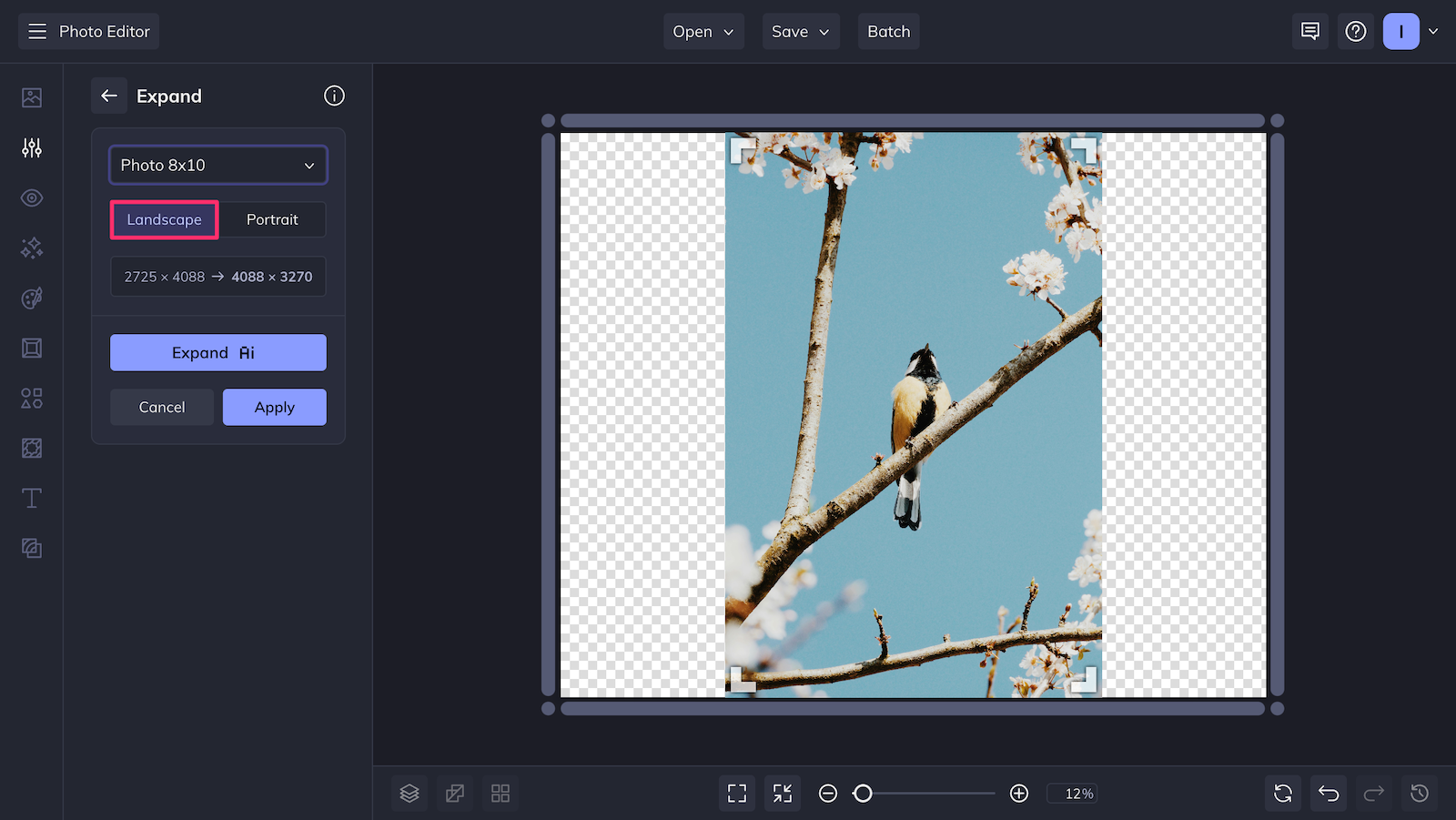 How to Quickly Adjust Image Aspect Ratios Without Cropping | Learn BeFunky