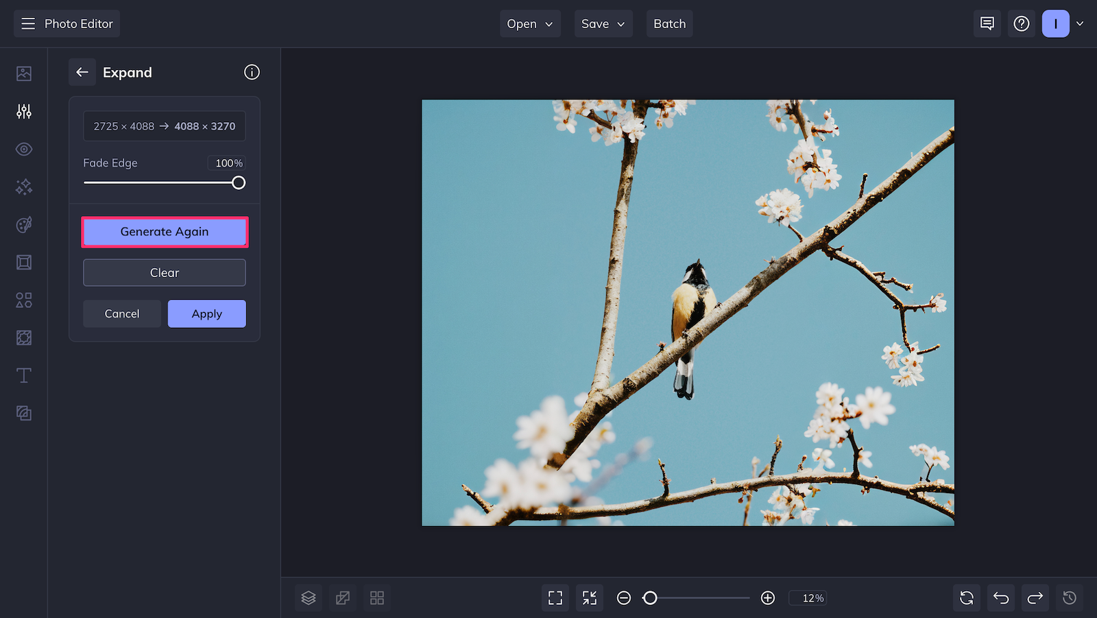 How to Quickly Adjust Image Aspect Ratios Without Cropping | Learn BeFunky
