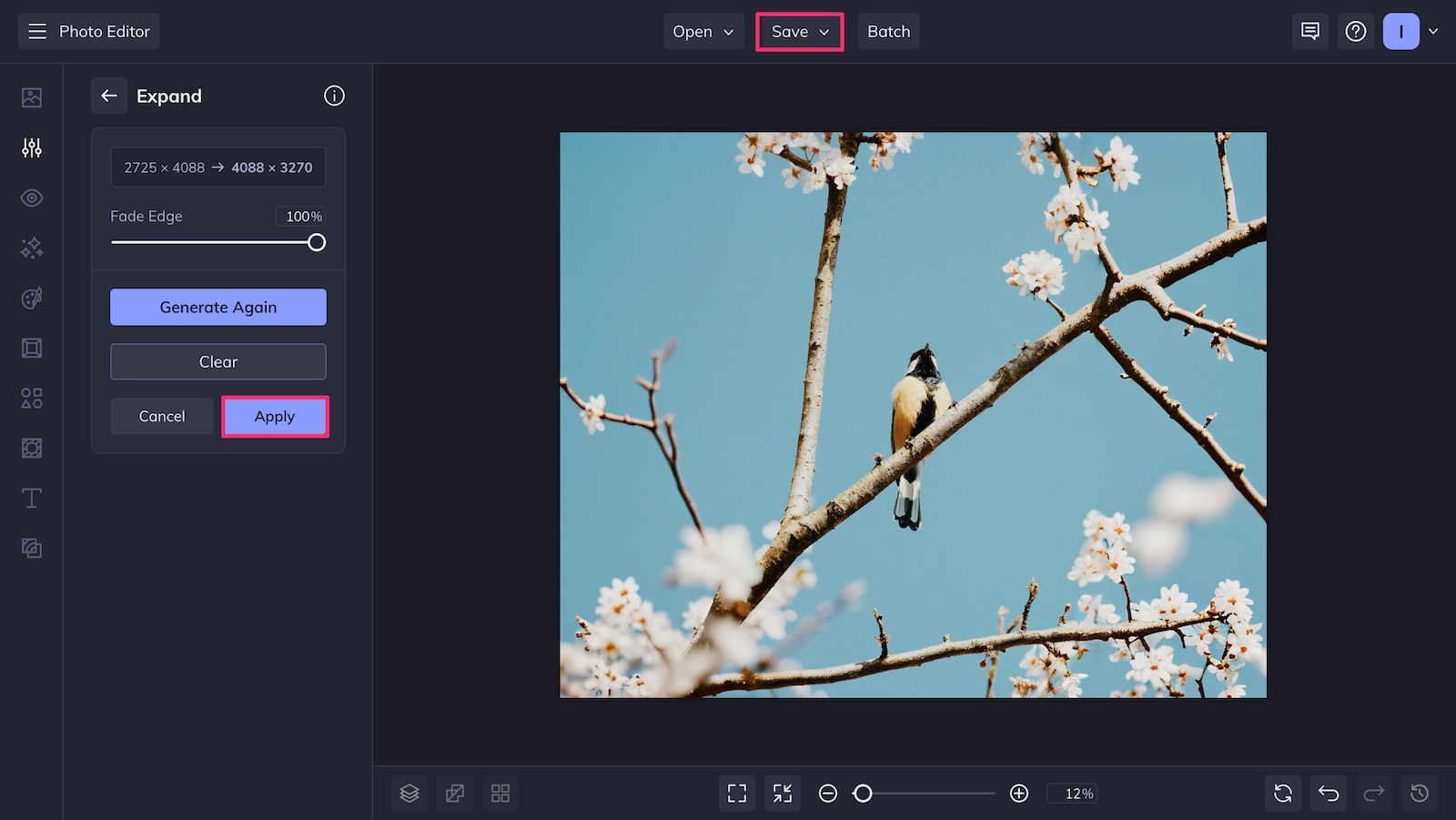 How to Quickly Adjust Image Aspect Ratios Without Cropping | Learn BeFunky
