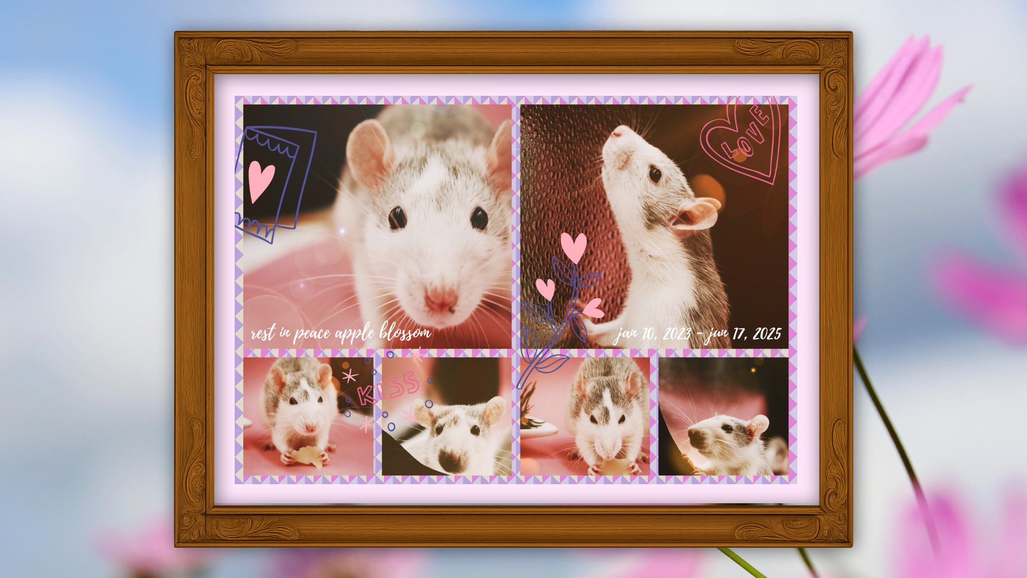 Design a Pet Photo Collage You Can Print or Frame | Learn BeFunky