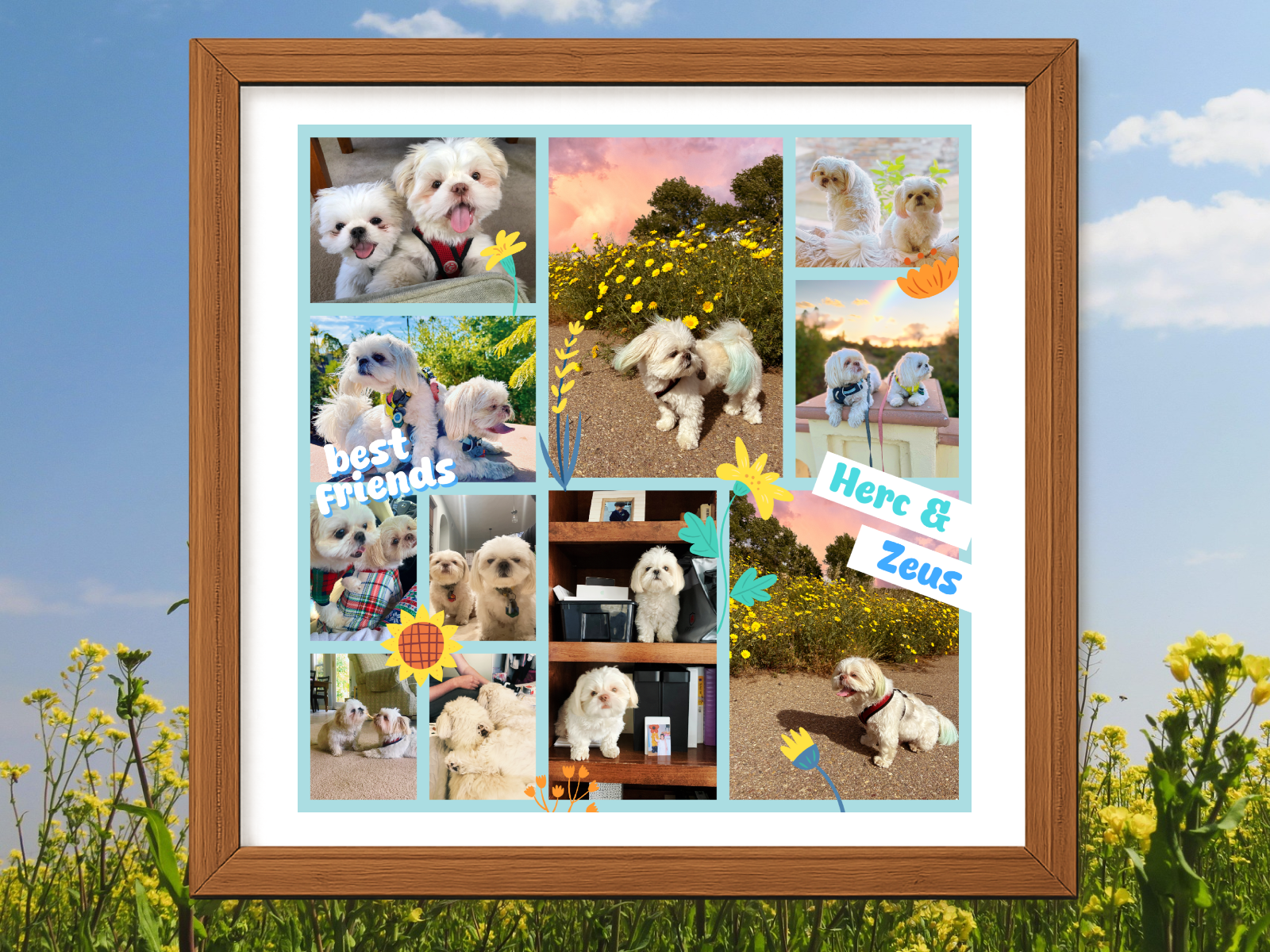 Design a Pet Photo Collage You Can Print or Frame | Learn BeFunky