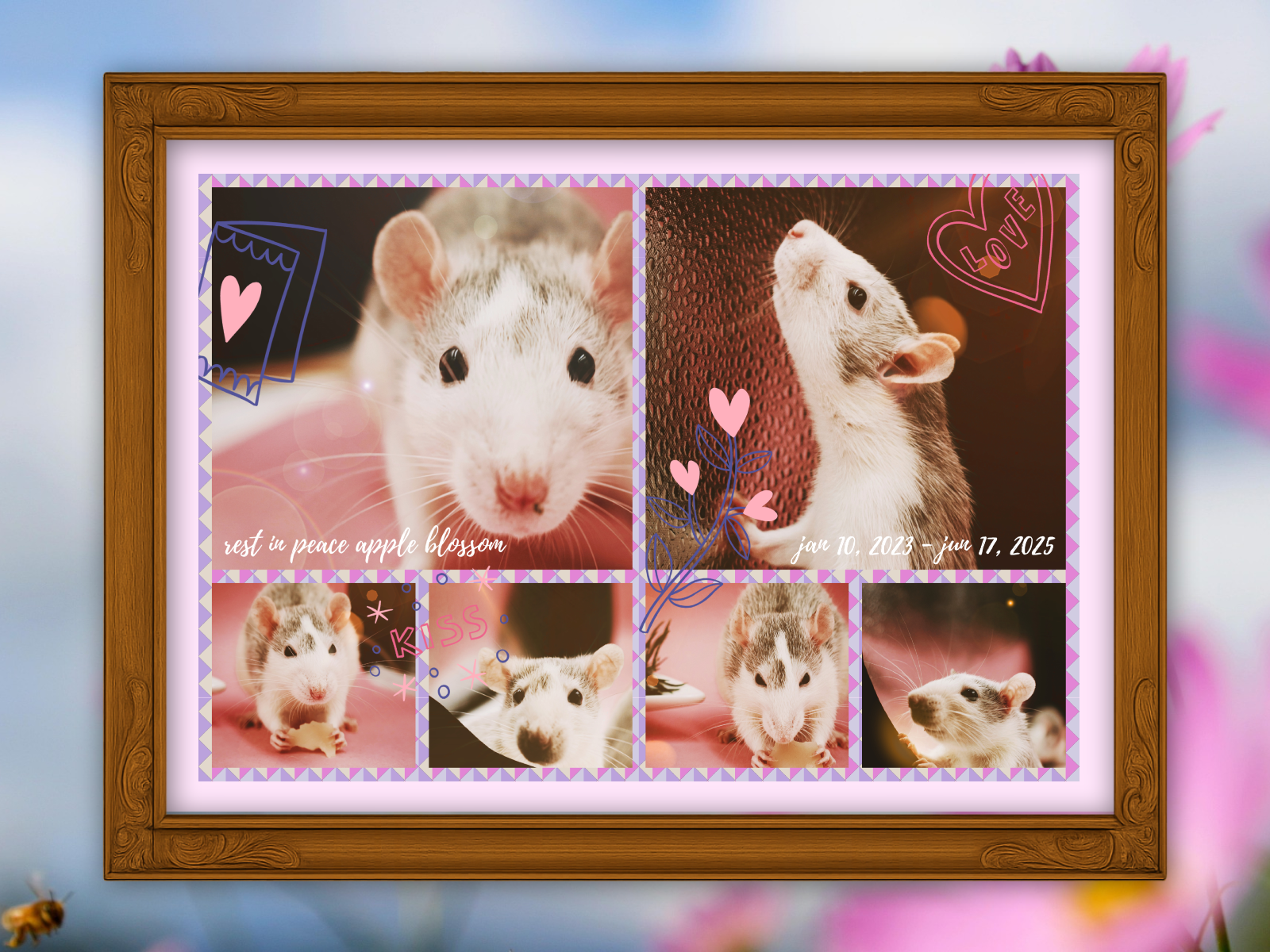 Design a Pet Photo Collage You Can Print or Frame | Learn BeFunky