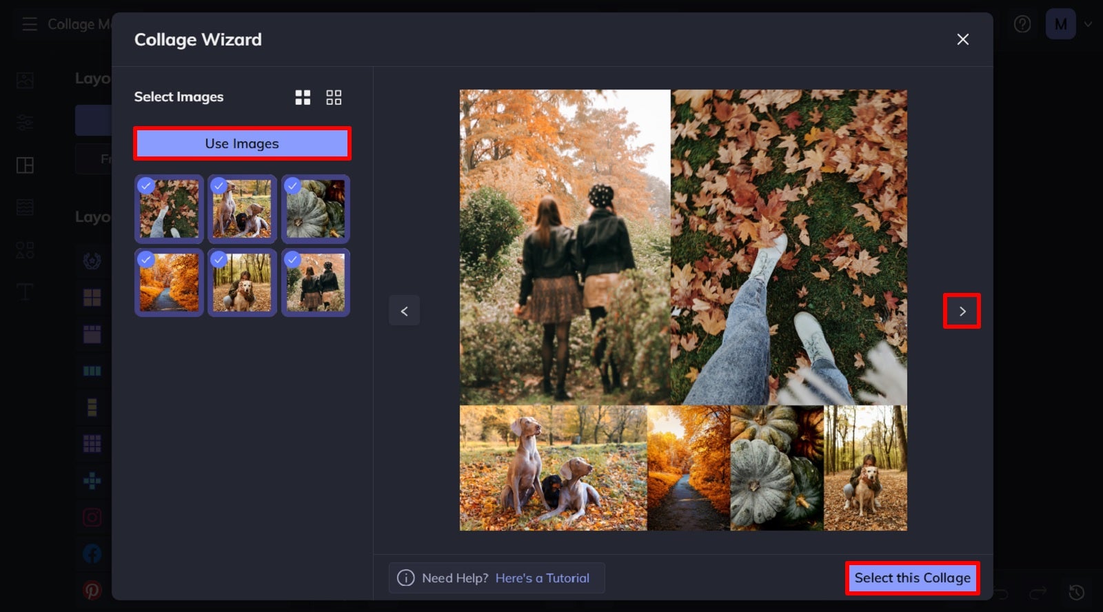 Add Eye-Catching Patterns to Your Collage Layouts | Learn BeFunky