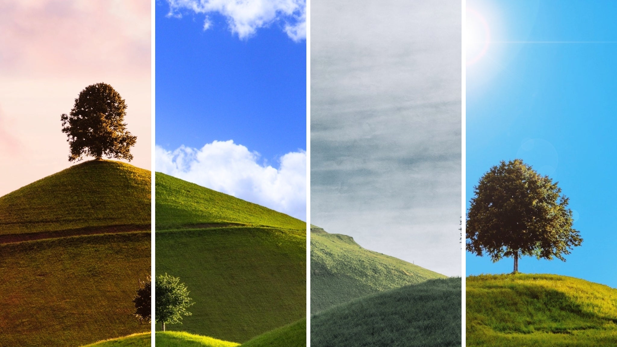 Create Seasonal Photo Edits With Sky Replacer | Learn BeFunky