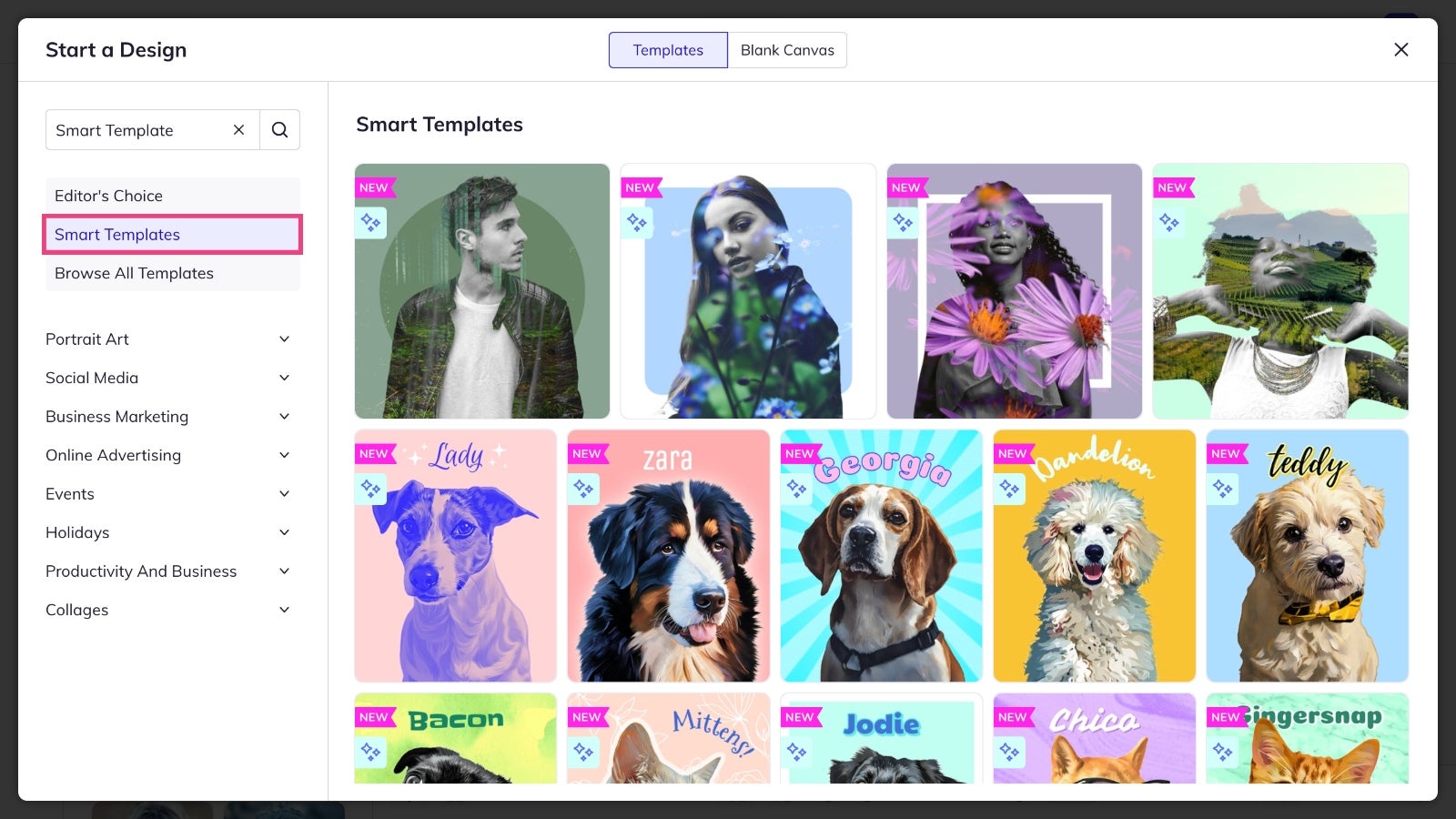 Create Stunning Designs Instantly With Smart Templates | Learn BeFunky